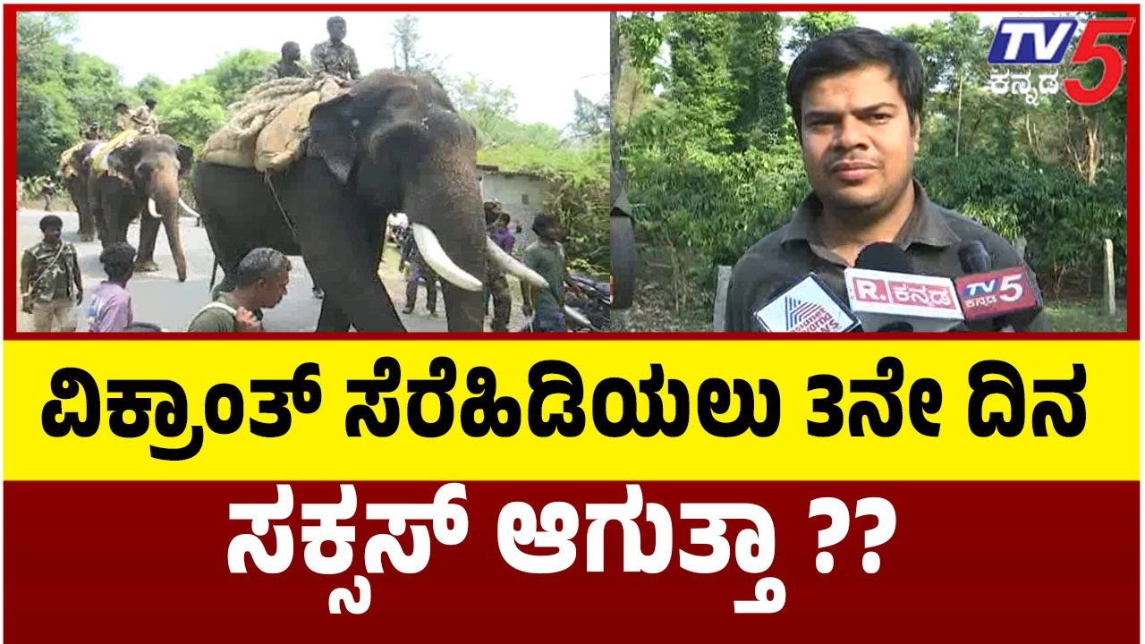Hassan Forest Department | ವಿಕ್ರಾಂತ್ ಸೆರೆಹಿಡಿಯಲು 3ನೇ ದಿನವಾದ್ರೂ ಸಕ್ಸಸ್ ...