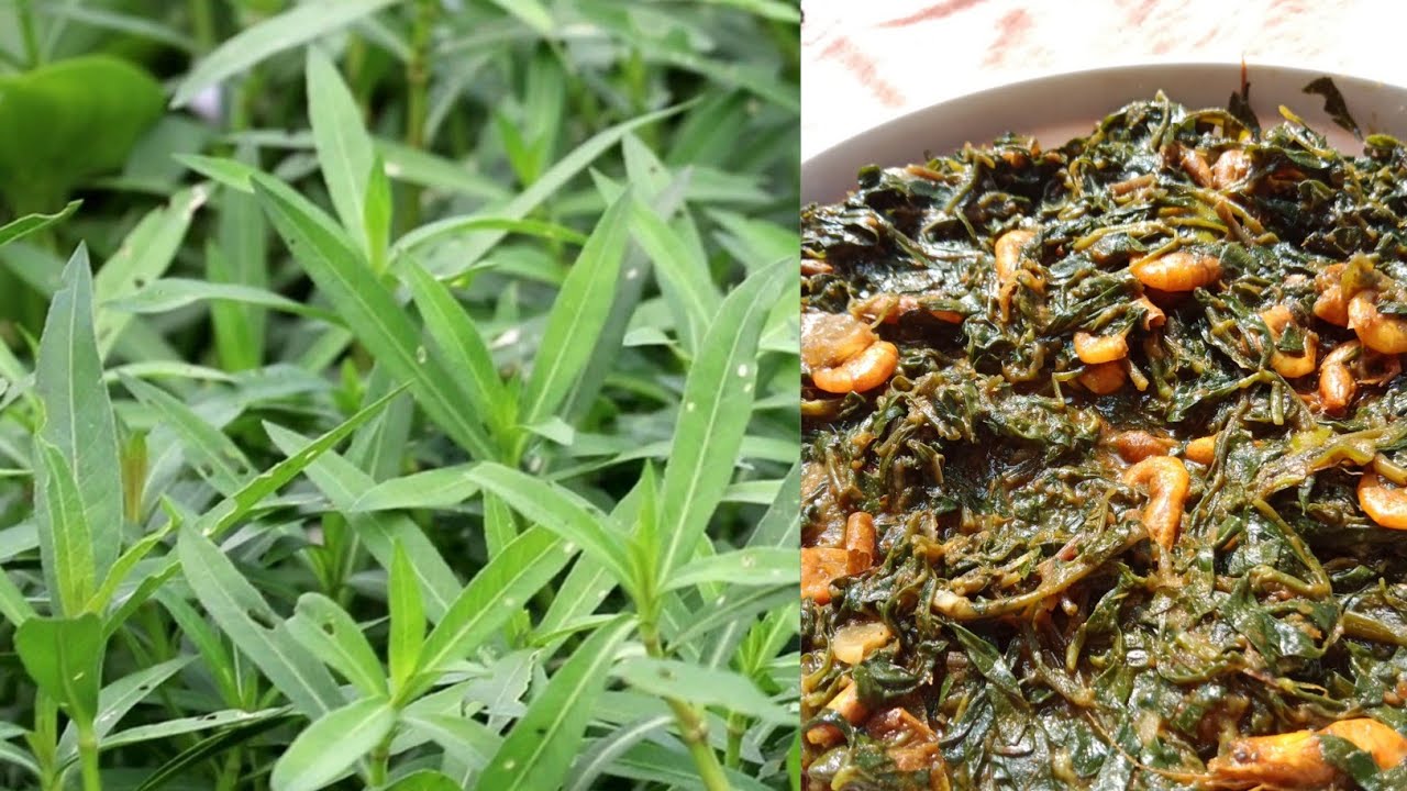 Village Food || হেলঞ্চাশাকের(হিনচে শাক)একবার খেলে বারবার বানিয়ে খাবেন ...