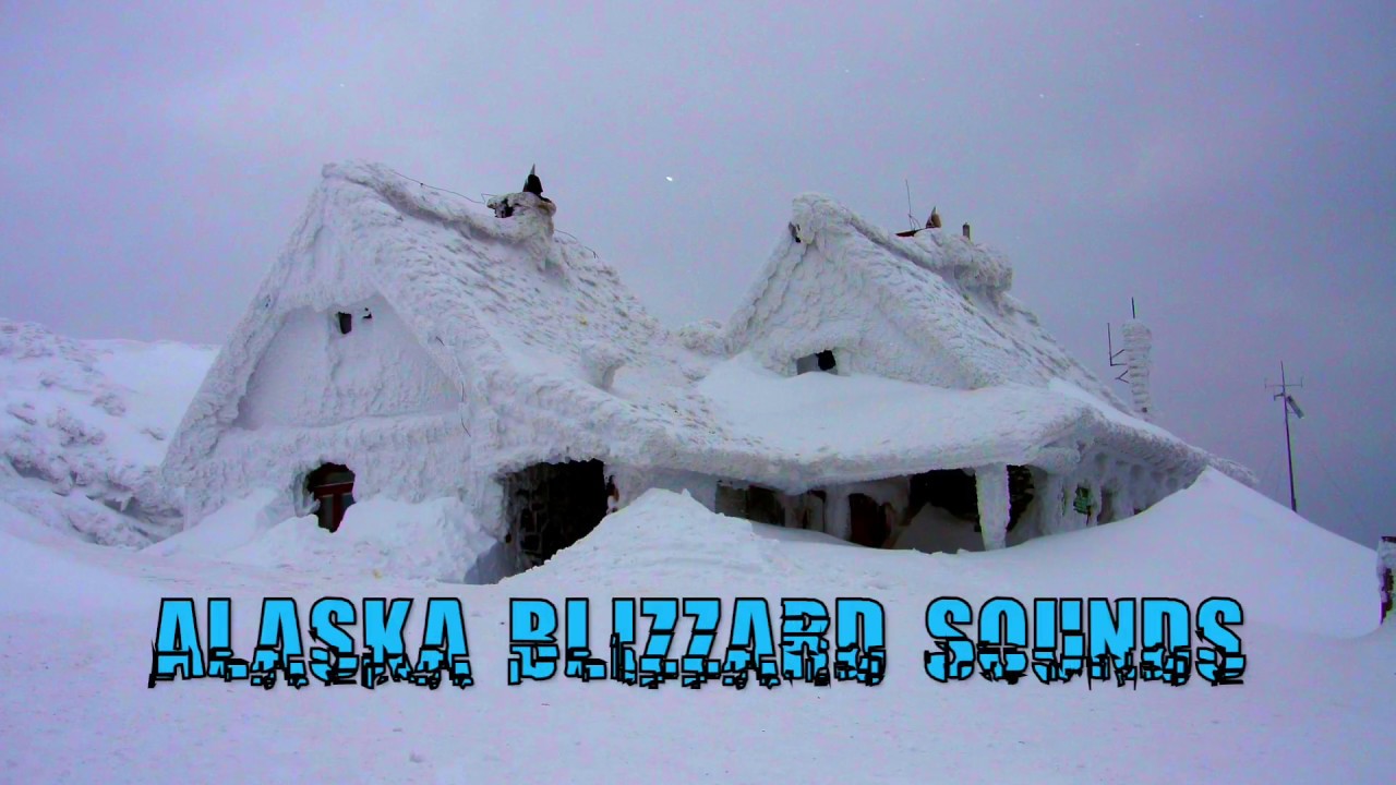 Alaska Blizzard Sounds - YouTube