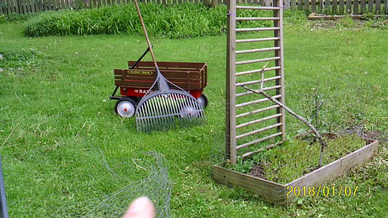 Snap Pea Ideas - YouTube