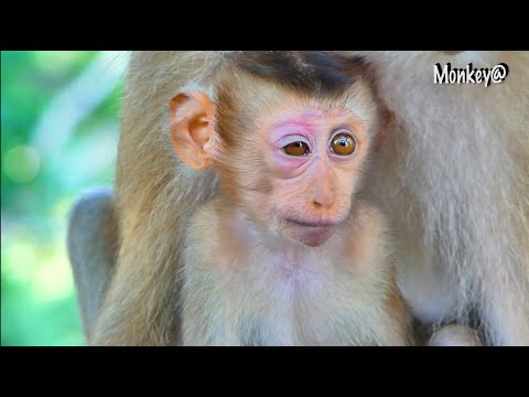Pity..! Baby SACKY's one eye is so small. - YouTube