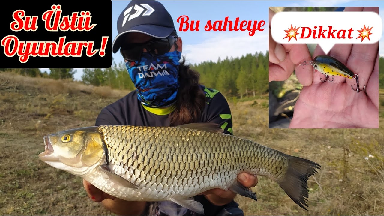 SU ÜSTÜ OYUNLARI! MÜTHİŞ KASNA SALDIRILARI. '' TOP WATER LURES FOR ...