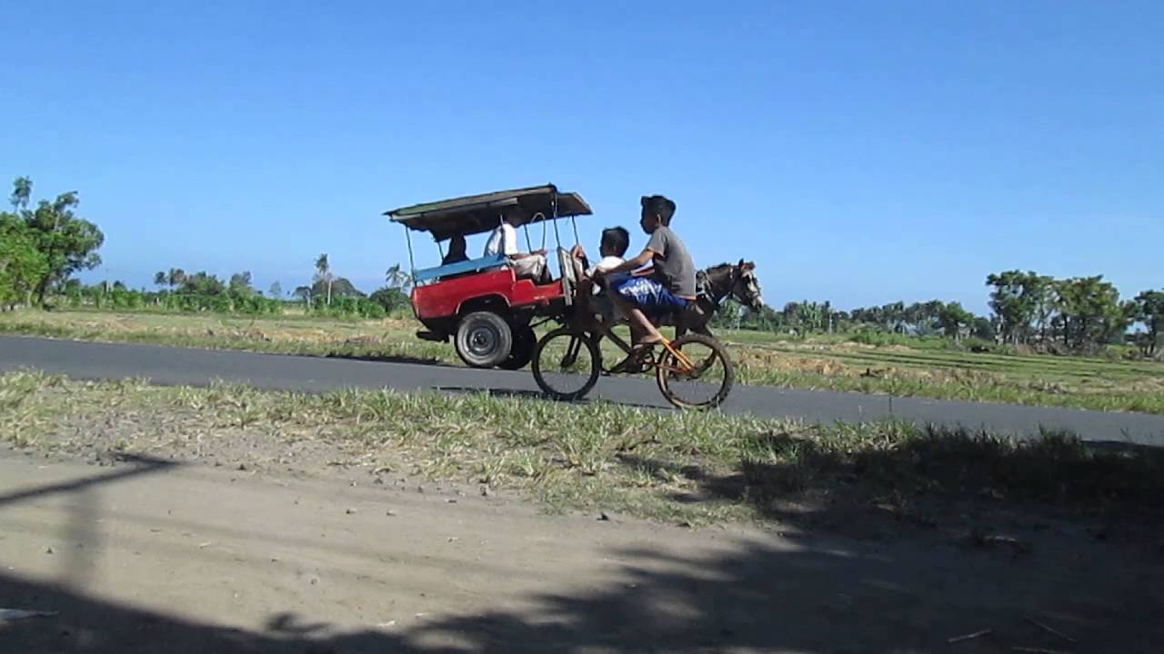 CIDOMO - traditional transportation NTB Lombok Indonesia - YouTube