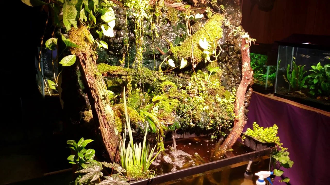 First Look At My "Secret Tank" - YouTube