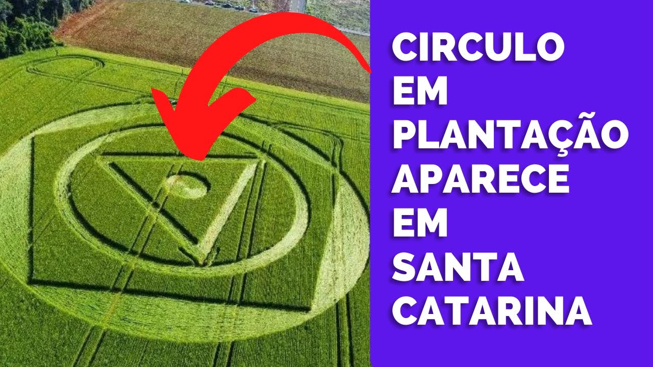 CIRCULO PLANTAÇÃO EM SANTA CATARINA AGROGLIFOS - YouTube