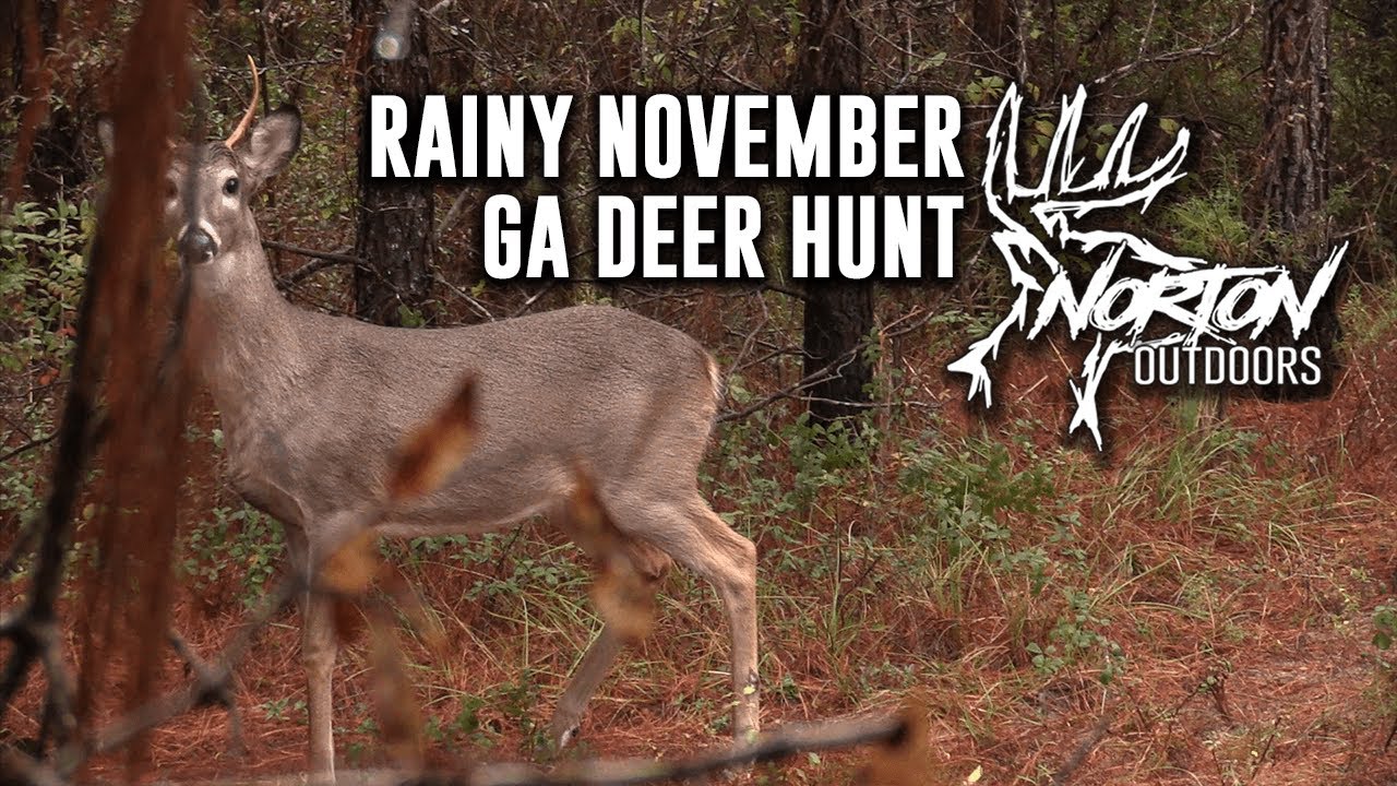Rainy November GA Deer Hunt | Self Filmed | 2019-2020 Season - YouTube