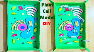 Plant Cell Model Project Shoebox