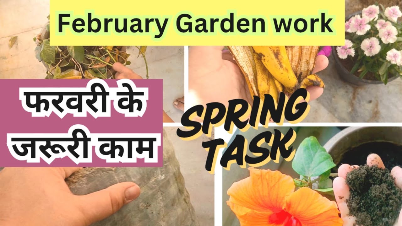 FEBRUARY MONTH Important Gardening Work || Spring Task || फरवरी के 10 ...