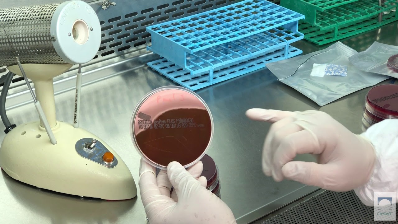 OxyPRAS Plus® Plates - YouTube