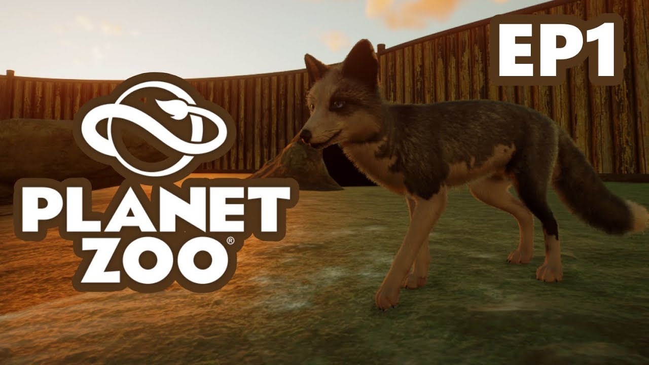 Planet Zoo: New Red Fox Habitat in New Zoo (Wild Haven Zoo EP1) - YouTube
