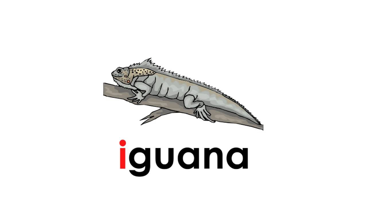 TLC Phonics Program Animal Alphabet Lesson - YouTube