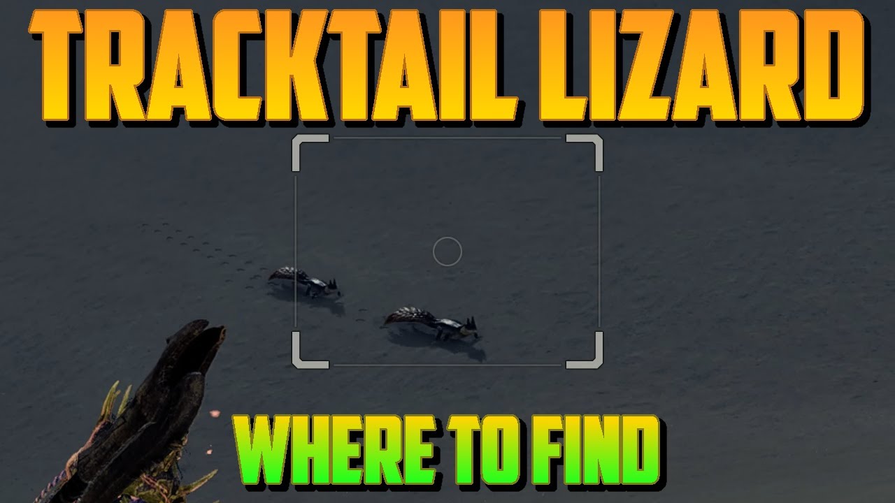 Tracktail Lizard Location | Monster Hunter Wilds - YouTube