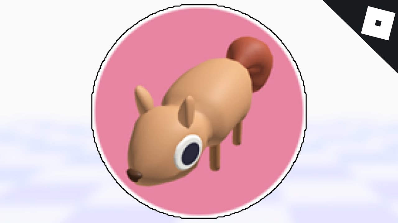How to get the SQUIRREL BADGE in FIND THE ANIMALS | Roblox - YouTube