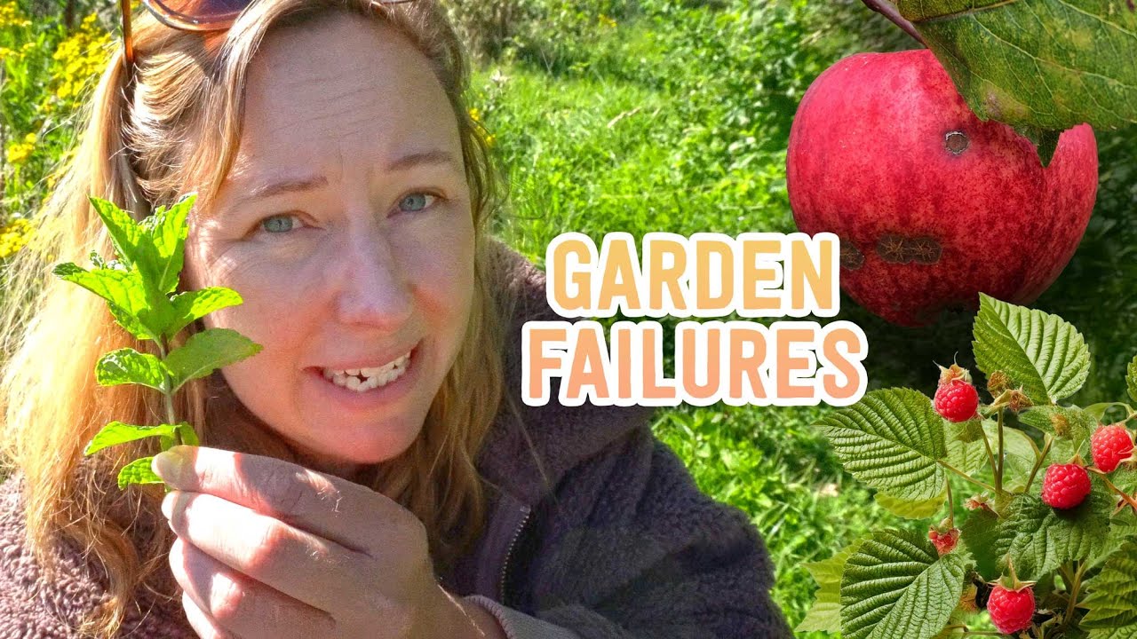 My Garden FAILED And Here's What Went Wrong! - YouTube