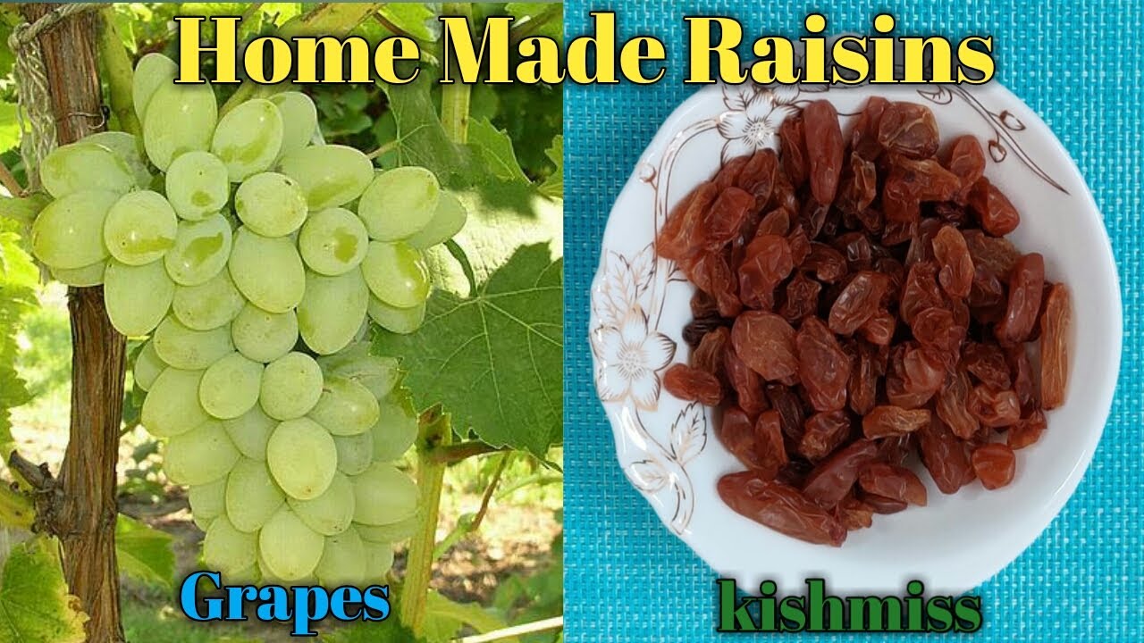 ఇంట్లో నే raisins తయారు చేసుకోవడం ఎలా,,,,,,how two prepare home made ...