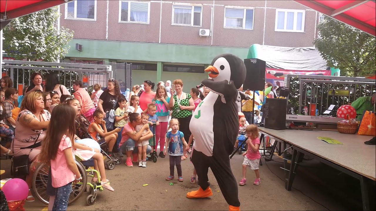 Pingvin Pityu - YouTube