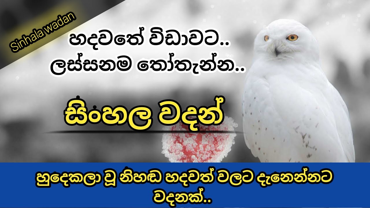සිතිවිලි ළඟ තනි රකින නිහඬ හදවත් වලට දැනෙන්නට සිංහල වදන් පෙළක් ...