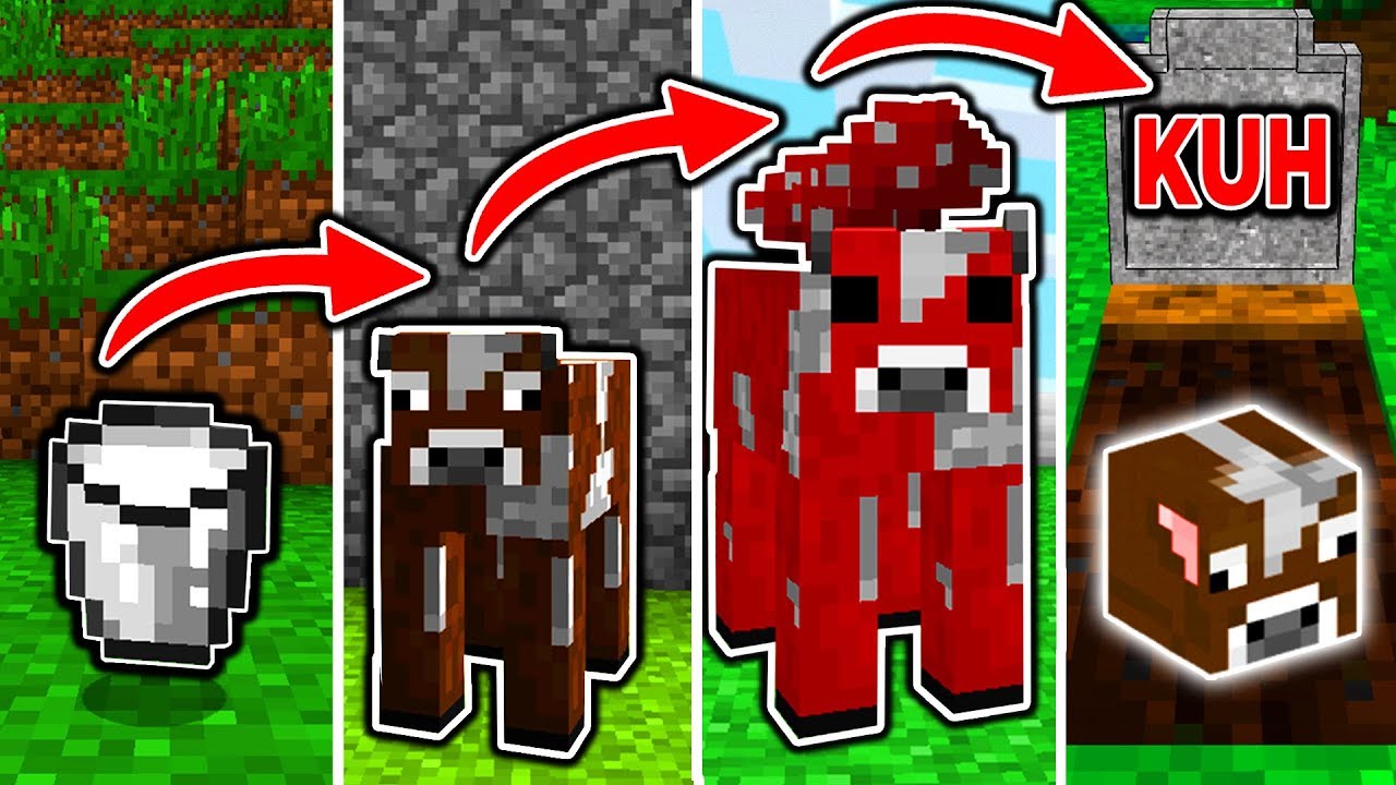 KUH LEBENSZYKLUS IN MINECRAFT - Von MILCH zur HEILIGEN KUH - YouTube