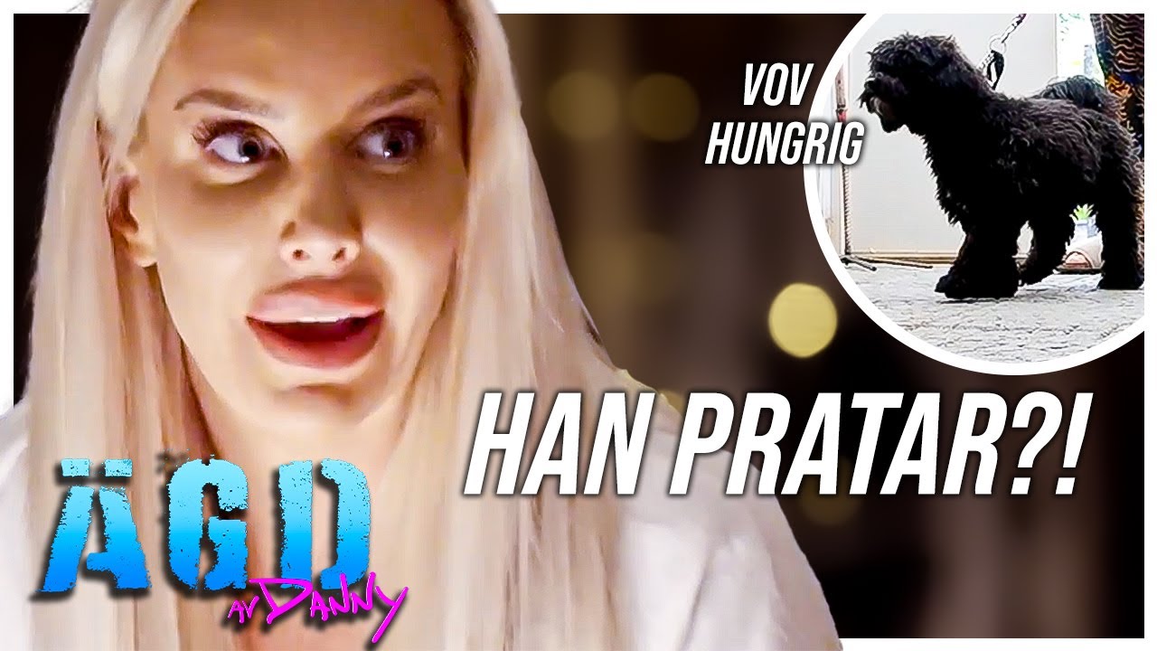 Julia Franzén på djurseans - Ägd av Danny | Prime Video Sverige - YouTube