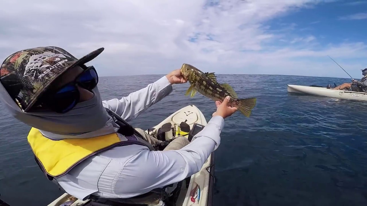 CEDROS ISLAND - Remote Fish Camp - BIG Calico Bass - Day 4/4 - YouTube