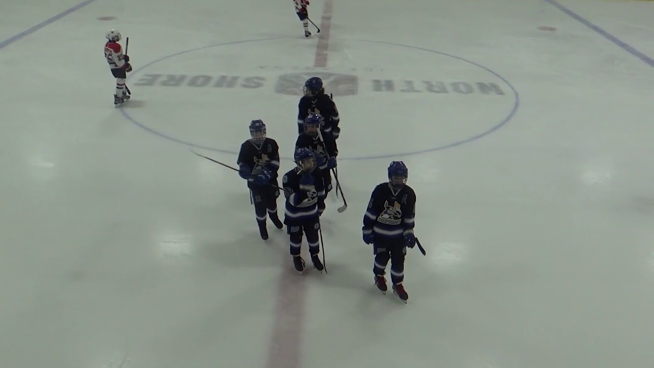 Rockford roadrunners 12U A2 @ Wilmette 2/1/2020 - YouTube