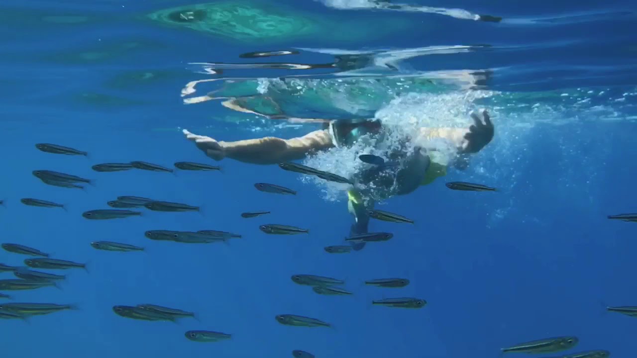 Snorkelling in Oludeniz - Short Video - YouTube
