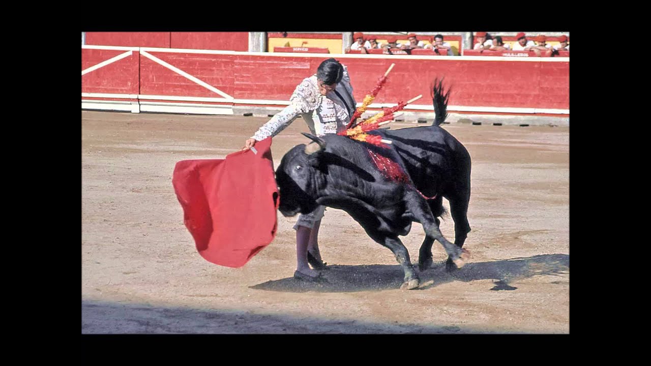 Bullfighting Photography Video - YouTube