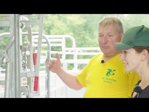 PATURA A8000 Behandelbox | Professionele rundveebehandeling | Nedlandic