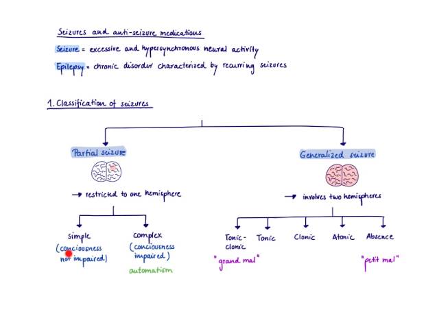 Seizure Disorder Concept Map Brandl's Basics: Seizures And Antiseizure