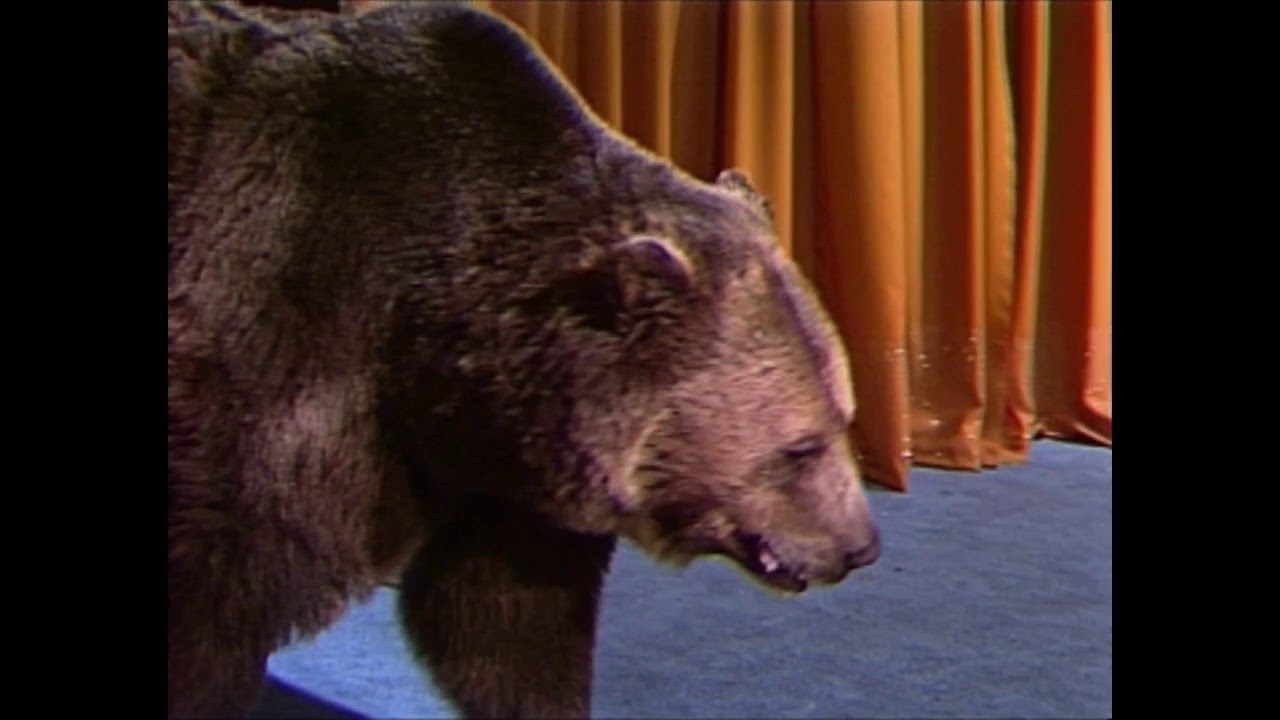 Eric Andre Interviews A Grizzly Bear - YouTube
