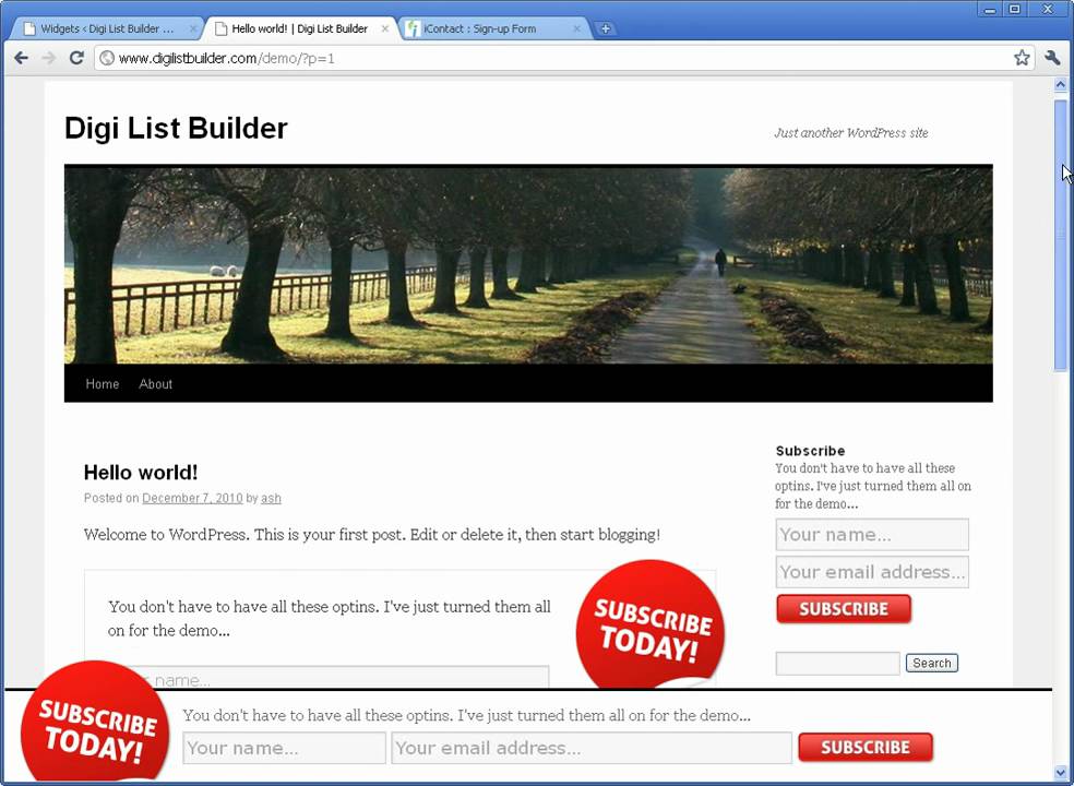Digi List Builder Demo - YouTube