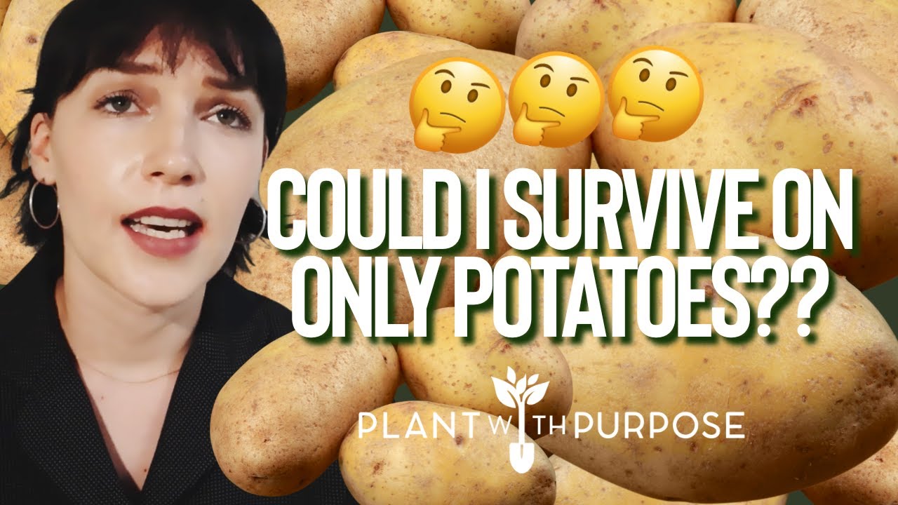 is the potato-only diet doable?? - YouTube