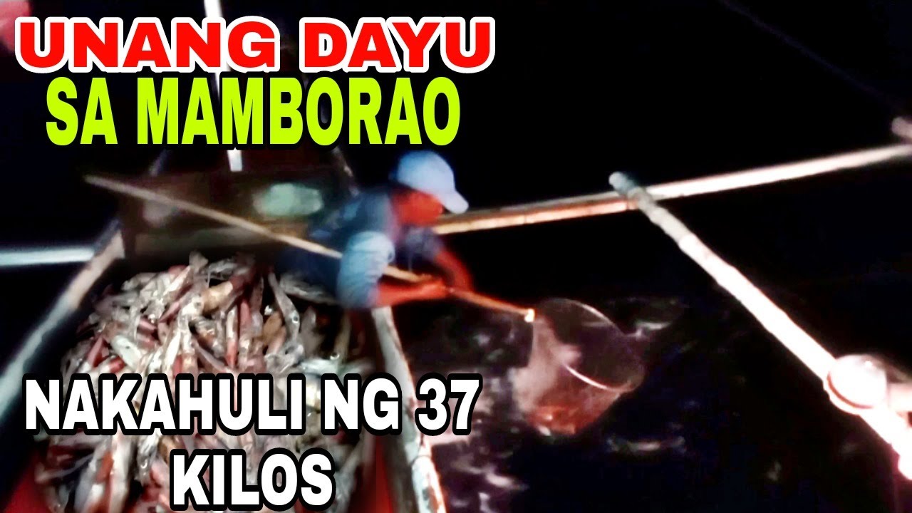 UNANG DAYU 37 KILOS ANG NAHULING PUSIT KALAWANG YouTube unang-dayu-37-kilos-ang-nahuling-pusit-kalawang-youtube