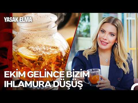 Yalı Vlogu #72: \