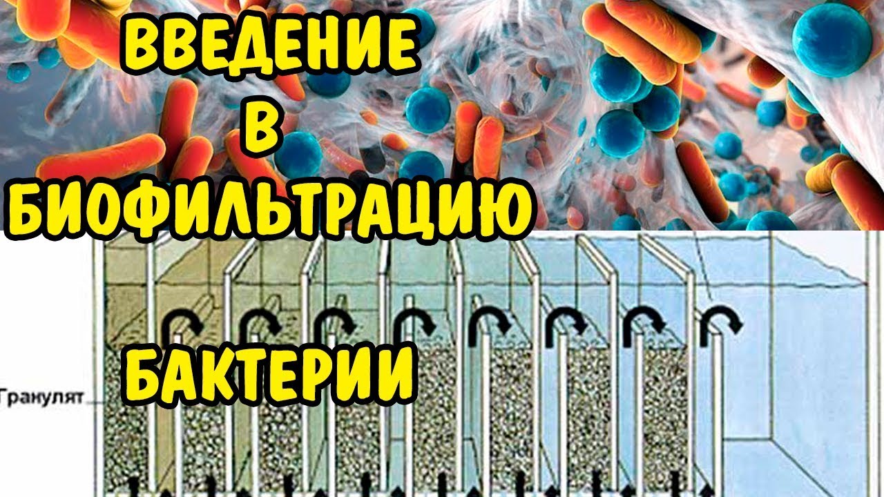 БИОФИЛЬТРАЦИЯ . ЧТО ТАКОЕ ? БАКТЕРИИ . BIOFILTRATION . WHAT IS IT ...