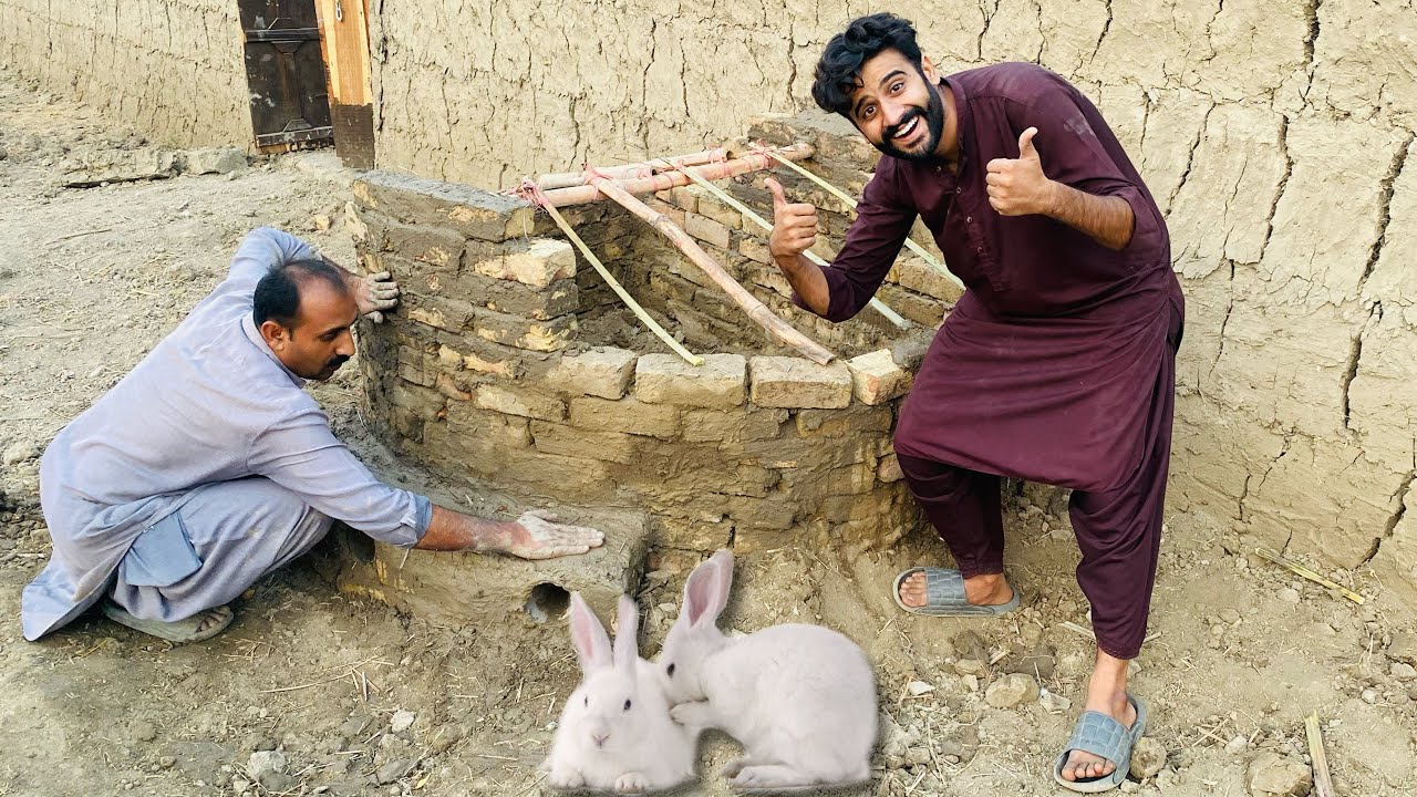 Mini Zoo Main Rabbit House Ka Kam Start Kar Diya 🐇 - YouTube