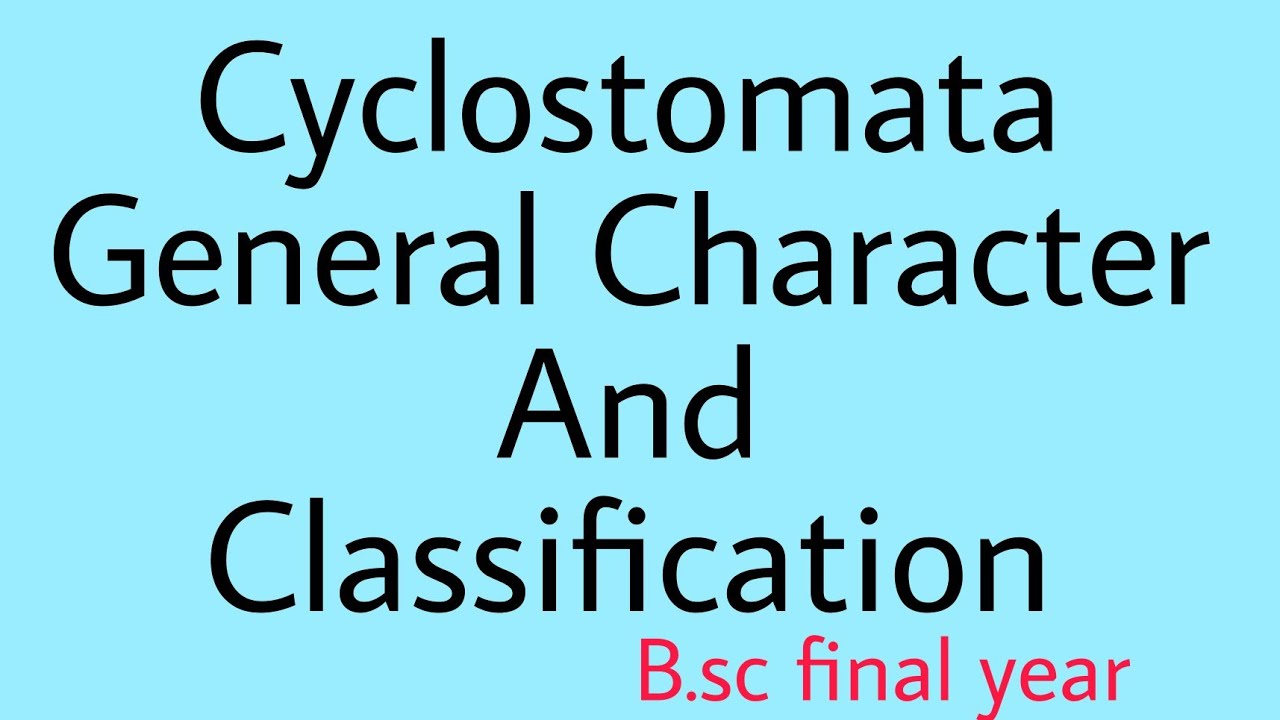 Cyclostomata General Character and classification - YouTube