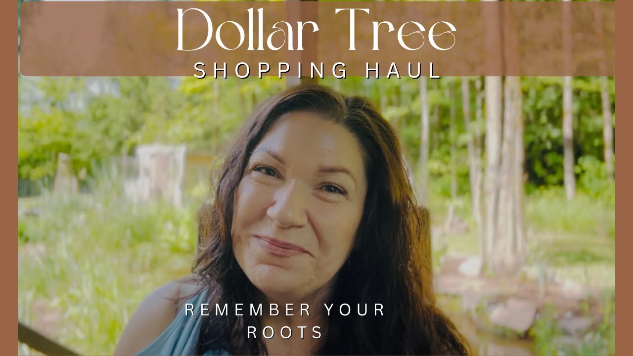 Dollar Tree Shopping Haul; Sad about price increases, but… - YouTube