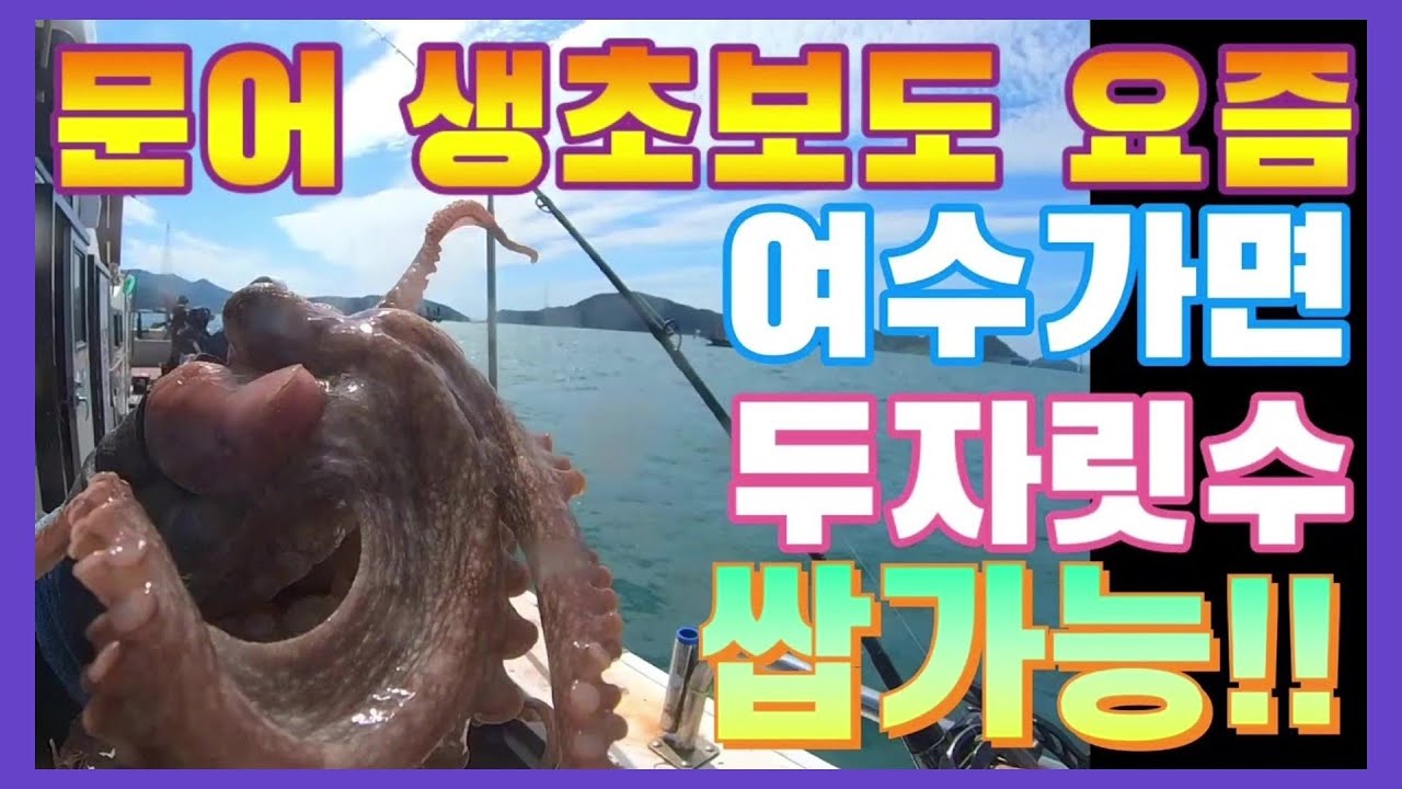 여수 호조황 문어 완전 처음 생초보가 낚시가서 두자릿수 만든법 여수 문어 문어낚시 돌문어 포인트호 문어초보 Youtube