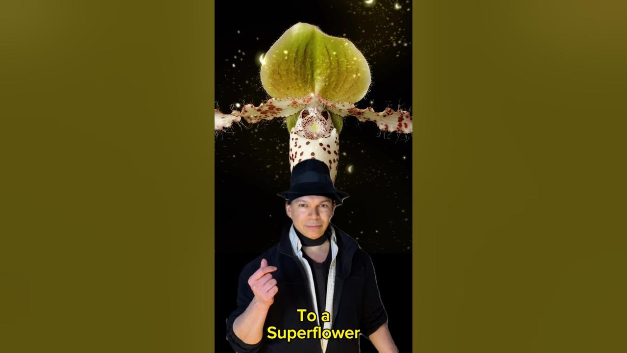 I turn regular flowers into Superflowers #vonflora - YouTube