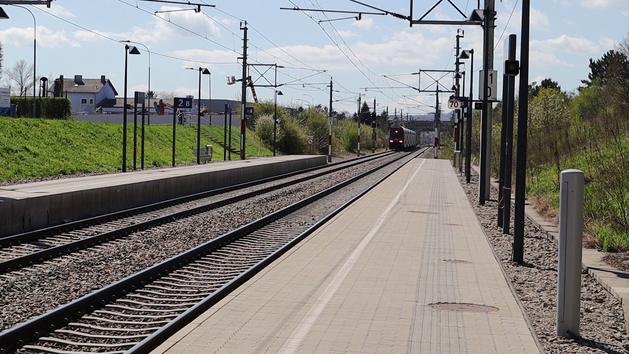 Canon EOS M50 (KISS M) 1080p@25fps Video Sample - YouTube