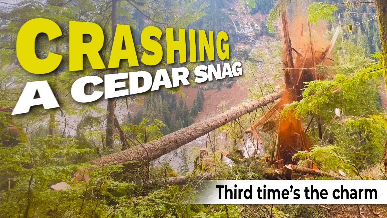 18. Smashing a Danger Tree with Another Tree - YouTube