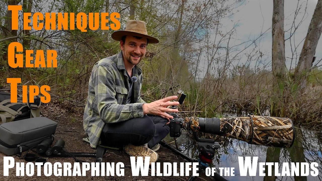 Tips, Techniques, and Gear to Photograph Wildlife in the Wetlands - YouTube
