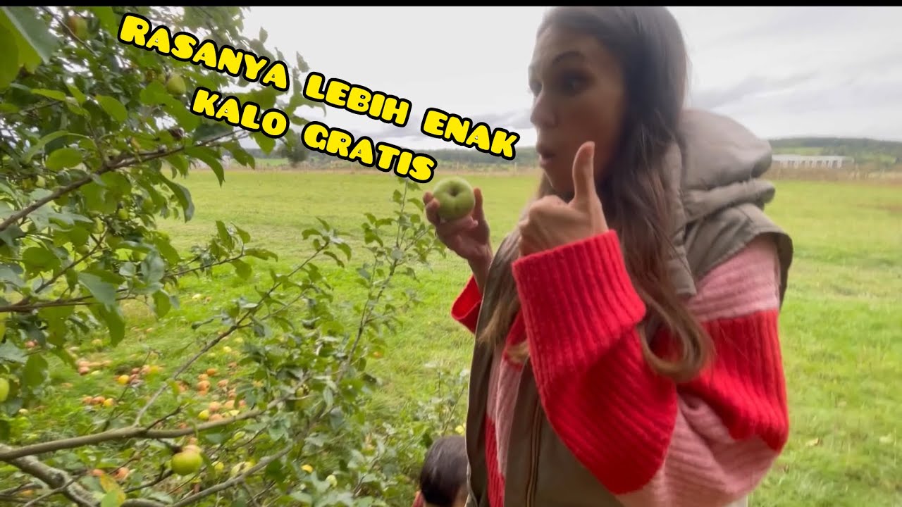 Ke Kuburan Panen Buah Appel dan Buah Pir - YouTube