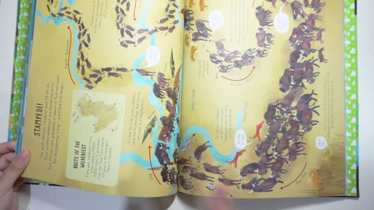 Usborne - Big Picture Book of Planet Earth - YouTube