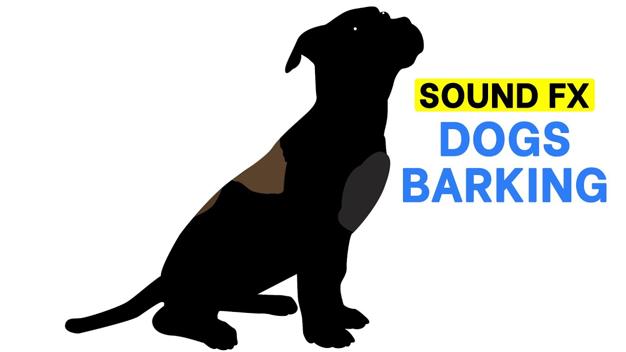 Dog Barking Sound in HD Quality by Just Sound FX - YouTube