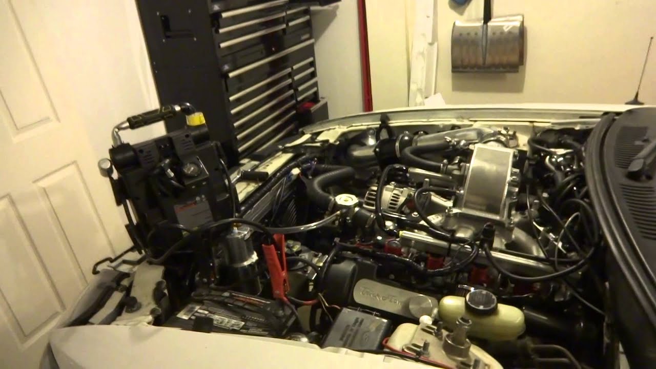 2003 Mustang GT start after engine rebuild - YouTube