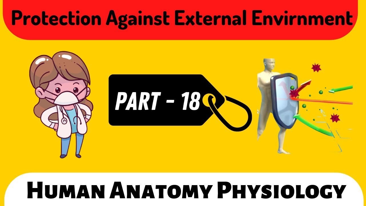 Protection Against External Environment | Part - 18 | Human Anatomy ...