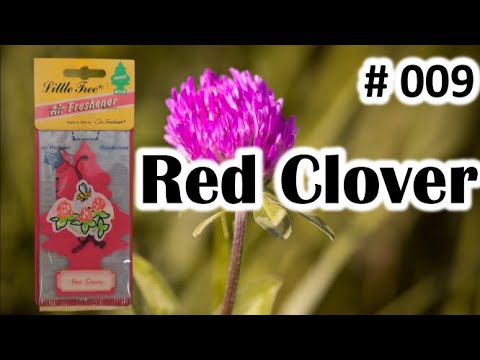 Discontinued Little Trees Collection # 009 (Red Clover) - YouTube