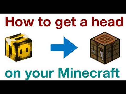 How to get a Custom Minecraft Head [Java Edition] - YouTube